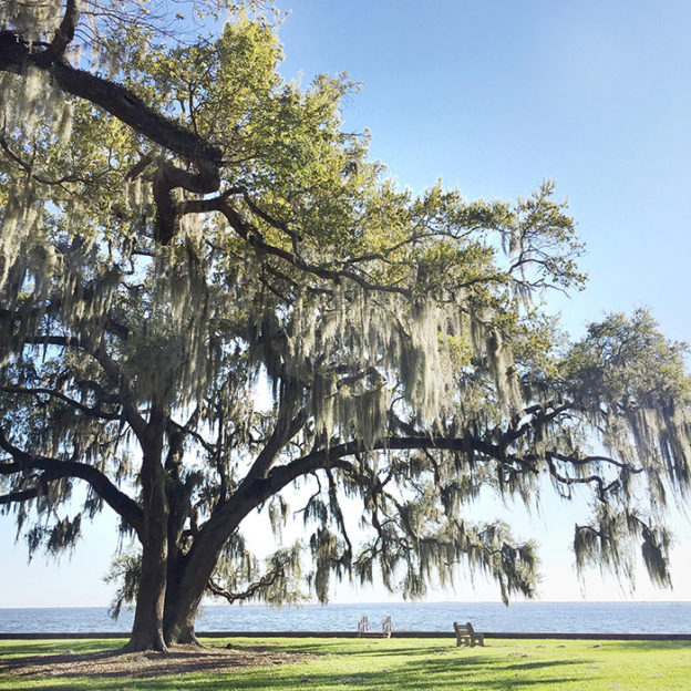 5 Inexpensive Spring Staycation Ideas • The Southern Thing